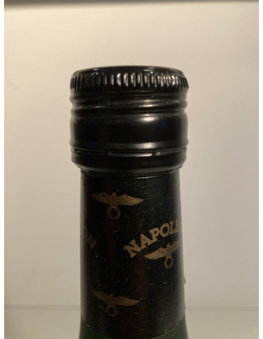 Alexis Carel Napoleon Brandy VSOP | cabinet7